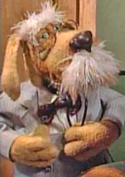 Doctor (Dog City) | Muppet Wiki | Fandom