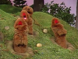 Rodents | Muppet Wiki | Fandom