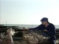 Live animals on Fraggle Rock | Muppet Wiki | Fandom