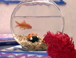 Elmo's World: Bugs | Muppet Wiki | Fandom