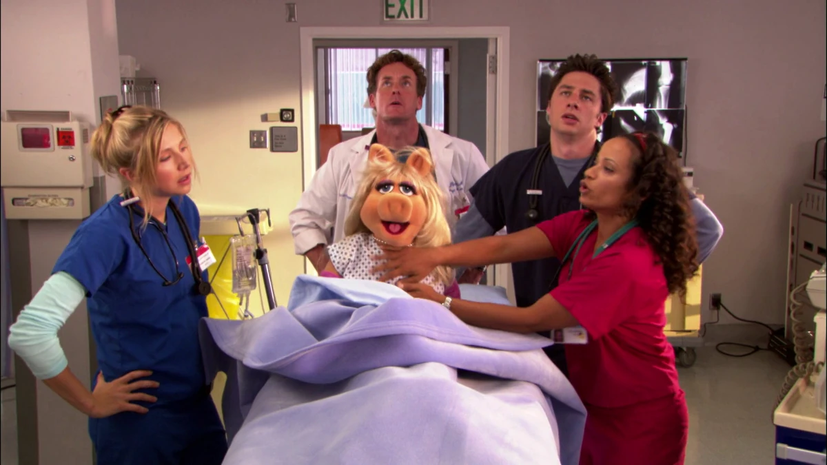 Scrubs | Muppet Wiki | Fandom
