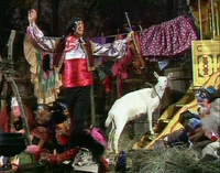 Live animals in Muppet productions | Muppet Wiki | Fandom