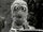 Rocky (monster)