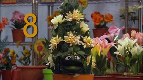 Plants | Muppet Wiki | Fandom