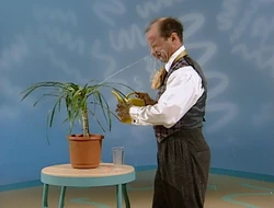 Elmo's World: Flowers, Plants & Trees | Muppet Wiki | Fandom