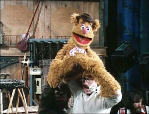 Live-hand Muppet | Muppet Wiki | Fandom