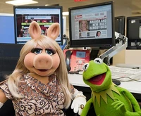 The Sun (United Kingdom newspaper) | Muppet Wiki | Fandom