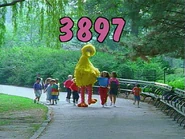 Episode 3897 | Muppet Wiki | Fandom