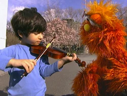 Episode 4156 | Muppet Wiki | Fandom