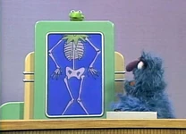 X-rays | Muppet Wiki | Fandom