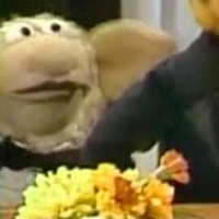 Noel MacNeal characters | Muppet Wiki | Fandom