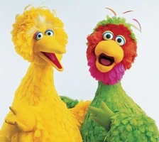 Big Bird's family | Muppet Wiki | Fandom