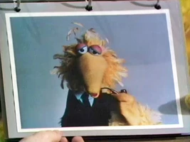 Big Bird's family | Muppet Wiki | Fandom