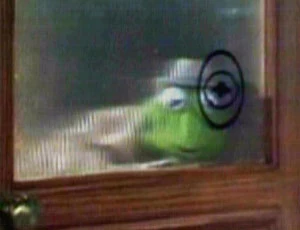Kermit the Frog's eyes | Muppet Wiki | Fandom