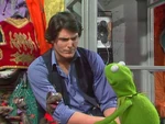 Category:Muppet Show Episodes | Muppet Wiki | Fandom