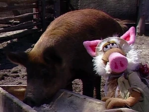 Episode 107: I Want to Be You | Muppet Wiki | Fandom