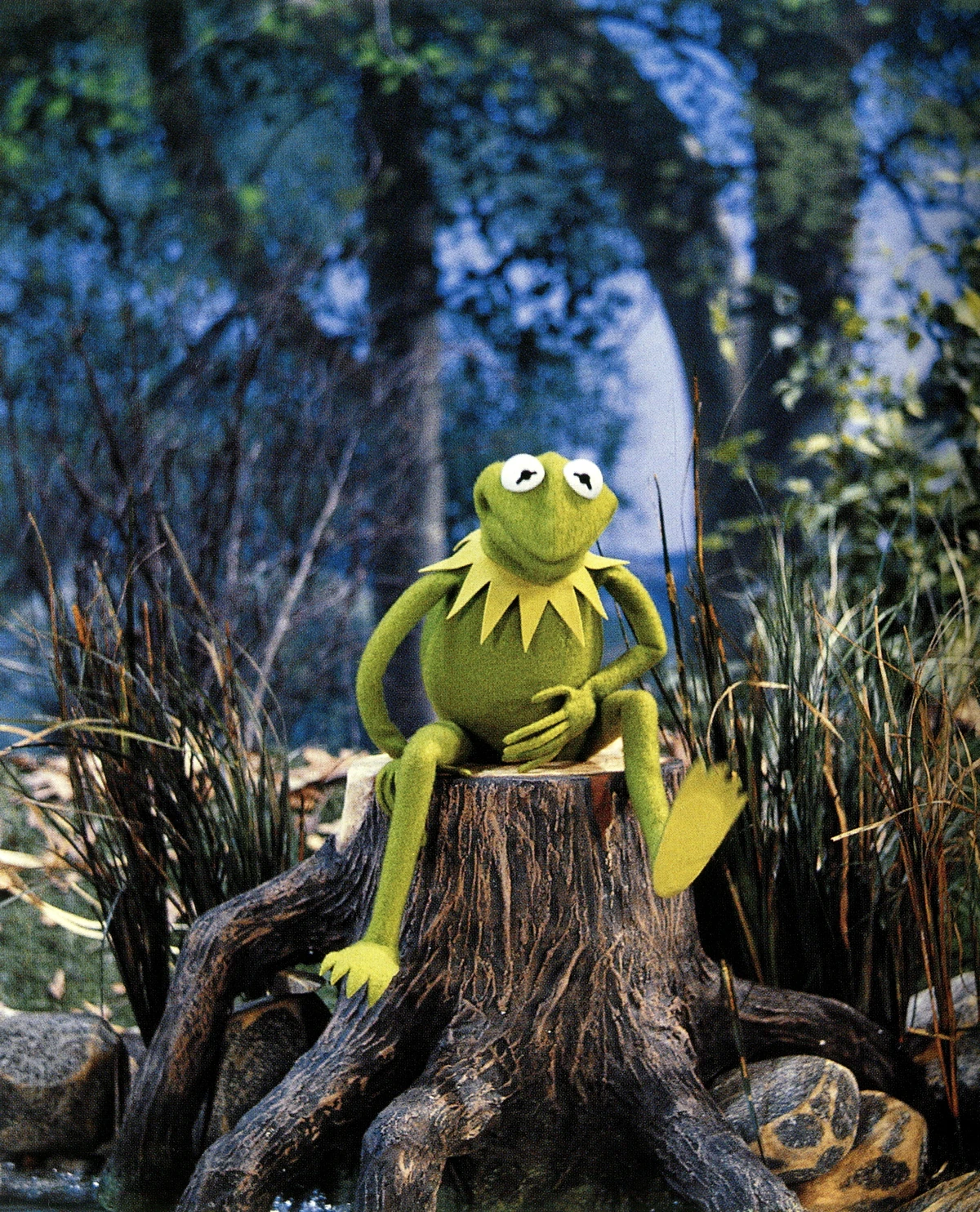 Tadpole | Muppet Wiki | Fandom