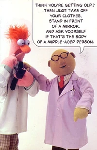 Muppet greeting cards (American Greetings) | Muppet Wiki | Fandom