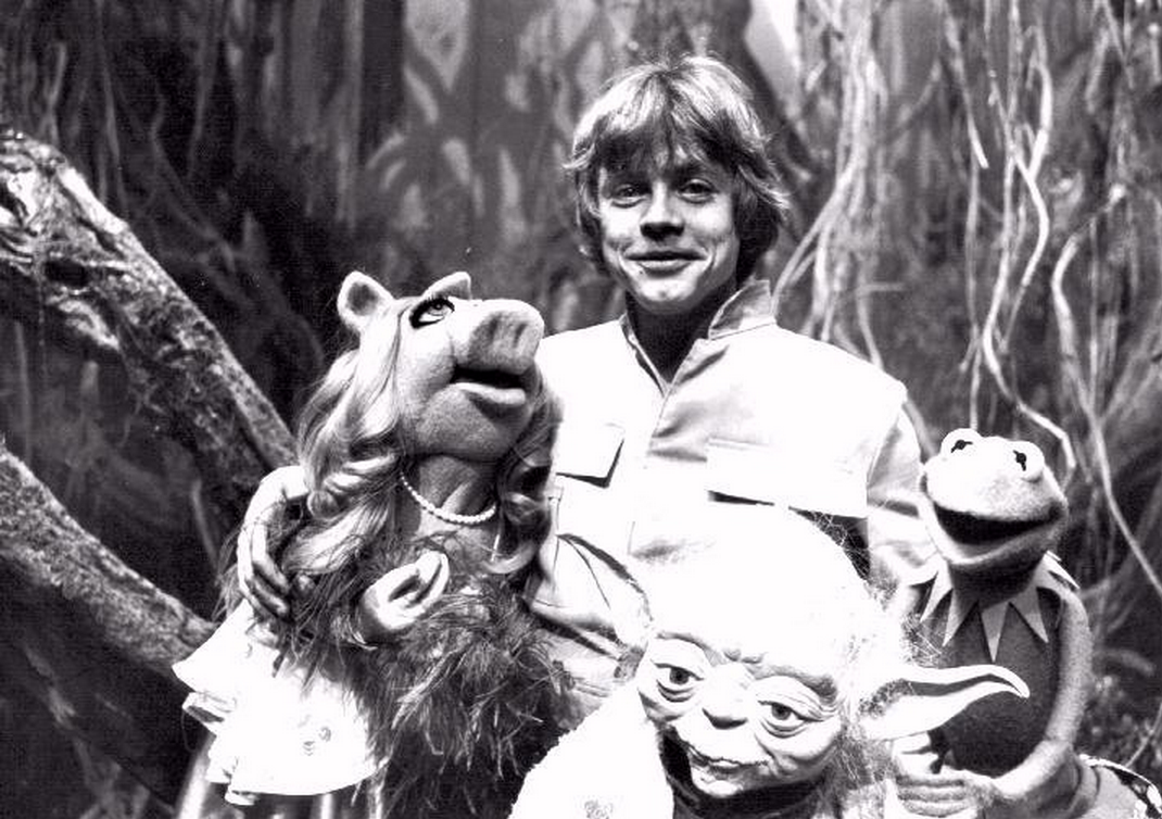 Yoda | Muppet Wiki | Fandom