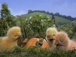 Pumpkins | Muppet Wiki | Fandom
