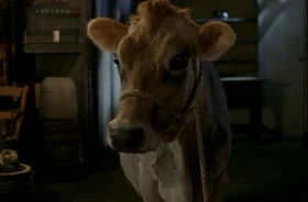 Milky White | Muppet Wiki | Fandom