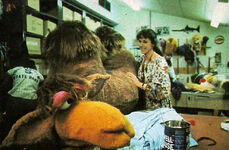 Sopwith the Camel | Muppet Wiki | Fandom