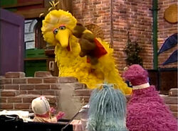 Episode 3651 | Muppet Wiki | Fandom