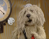 Captains | Muppet Wiki | Fandom