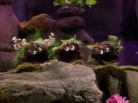 Rock characters | Muppet Wiki | Fandom