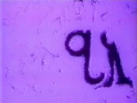 Q | Muppet Wiki | Fandom