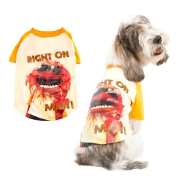 Muppet pet clothes | Muppet Wiki | Fandom