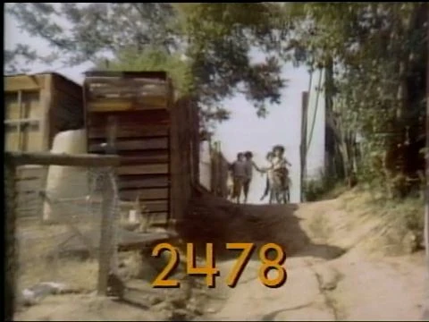 Episode 2478 | Muppet Wiki | Fandom