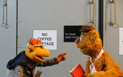 The Muppets Take the Bowl | Muppet Wiki | Fandom