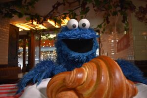 France | Muppet Wiki | Fandom