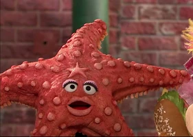 Sea stars | Muppet Wiki | Fandom
