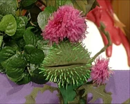 Plants | Muppet Wiki | Fandom