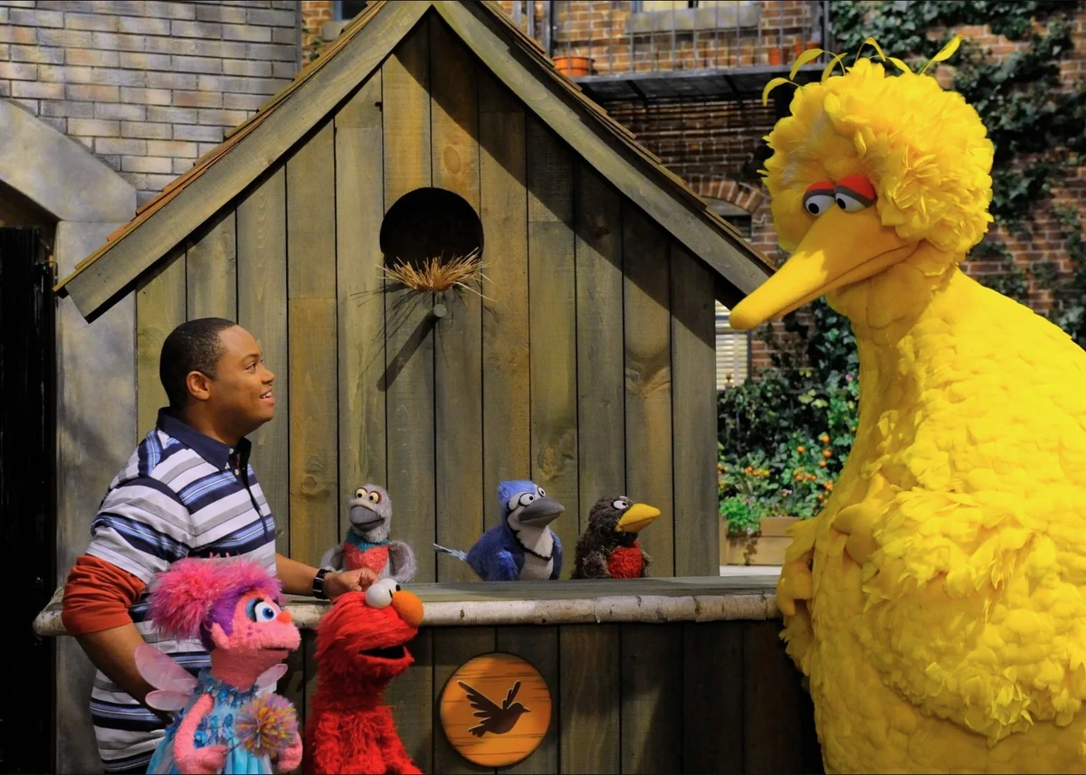 Episode 4265 | Muppet Wiki | Fandom