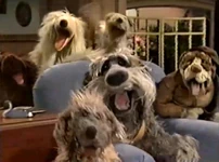 Sprocket | Muppet Wiki | Fandom