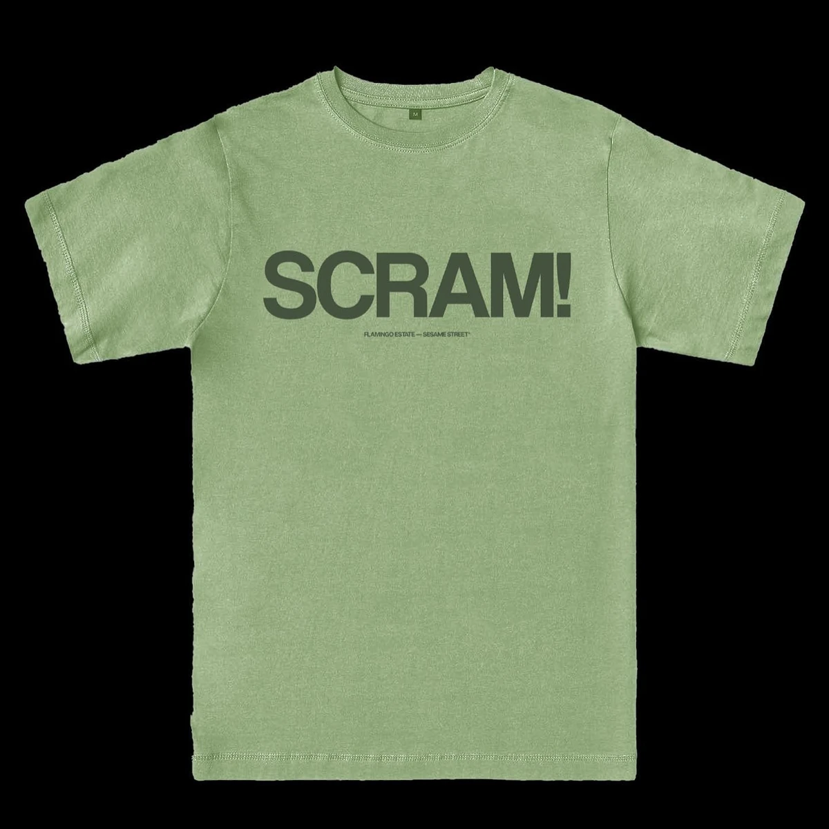 Sesame Street clothes (Flamingo Estate) | Muppet Wiki | Fandom