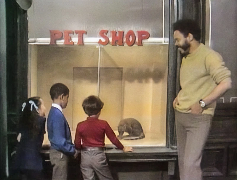 Pet Shop | Muppet Wiki | Fandom