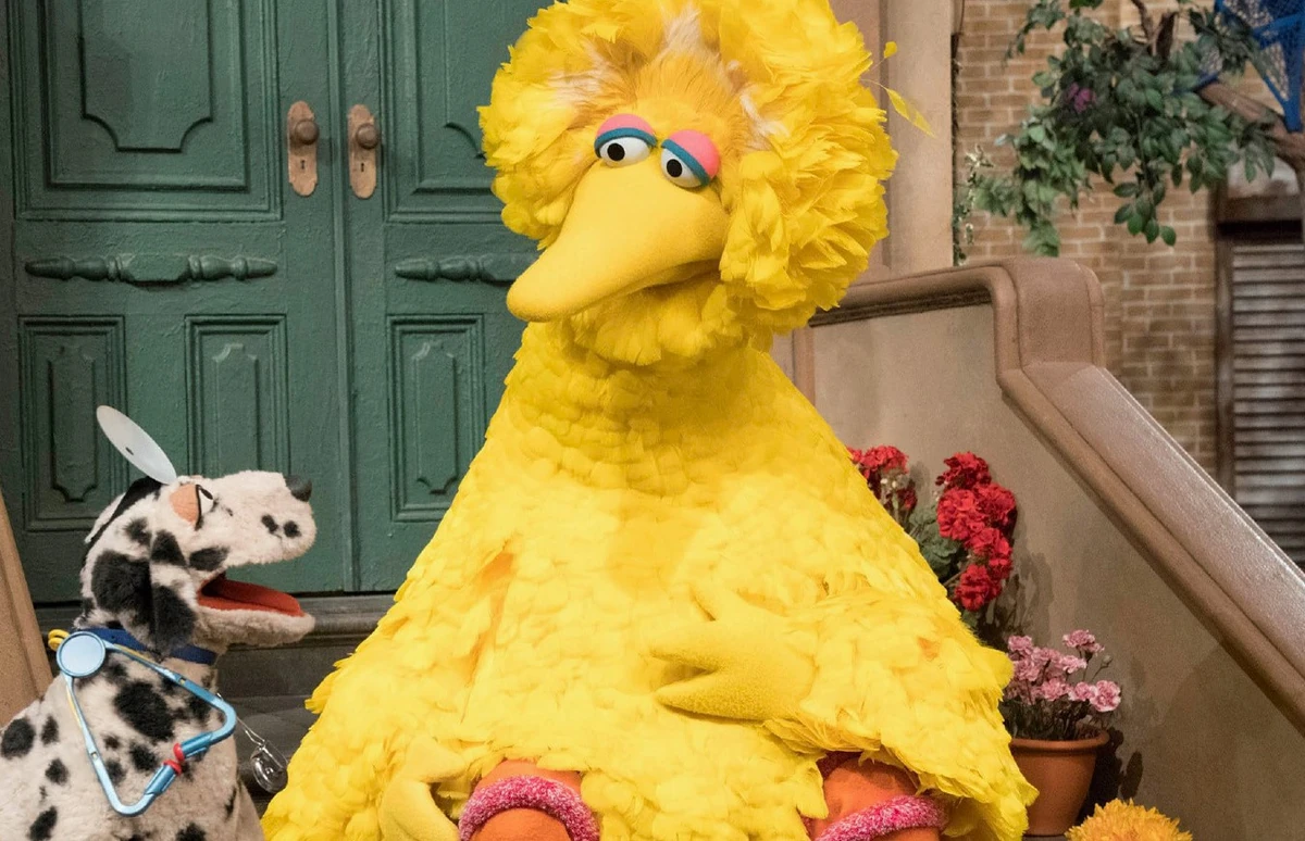 Episode 4901 | Muppet Wiki | Fandom