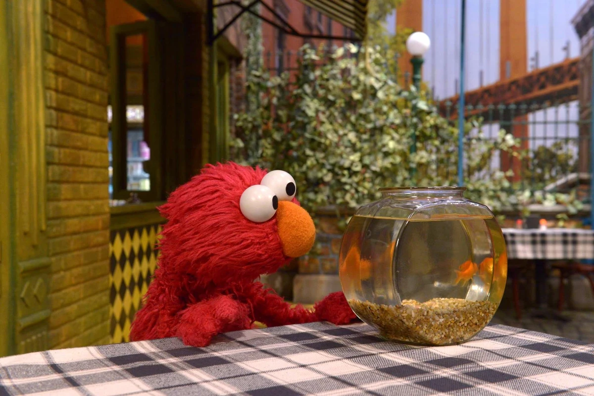 Episode 4632 | Muppet Wiki | Fandom