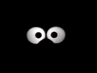 Eyes in the dark | Muppet Wiki | Fandom