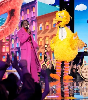 The Masked Singer | Muppet Wiki | Fandom