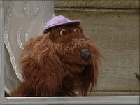 Dave | Muppet Wiki | Fandom