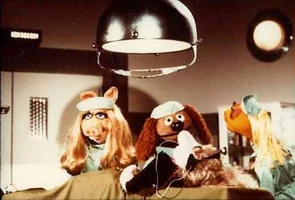 Episode 313: Helen Reddy | Muppet Wiki | Fandom