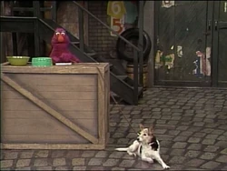 Episode 2207 | Muppet Wiki | Fandom