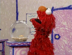 Elmo's World: Weather | Muppet Wiki | Fandom