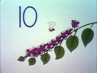 10 | Muppet Wiki | Fandom