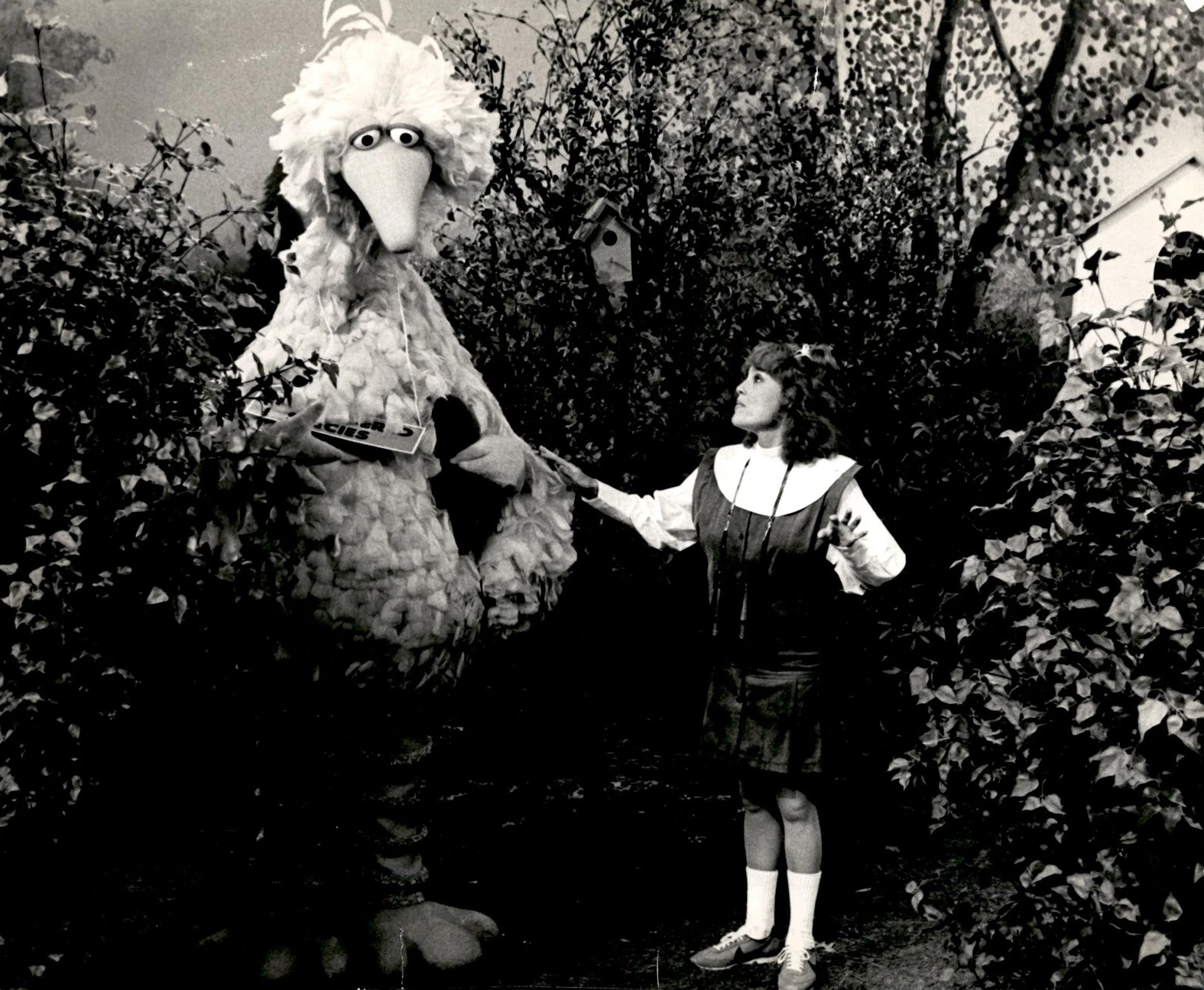 Episode 1576 | Muppet Wiki | Fandom